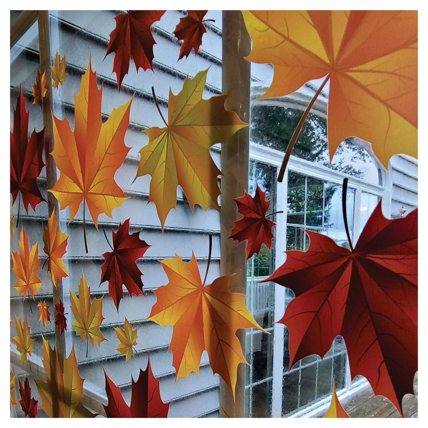 Amazon.com: 50 x Fall Leaf Window Clings - 50 Fall Leaf Window Decal ...