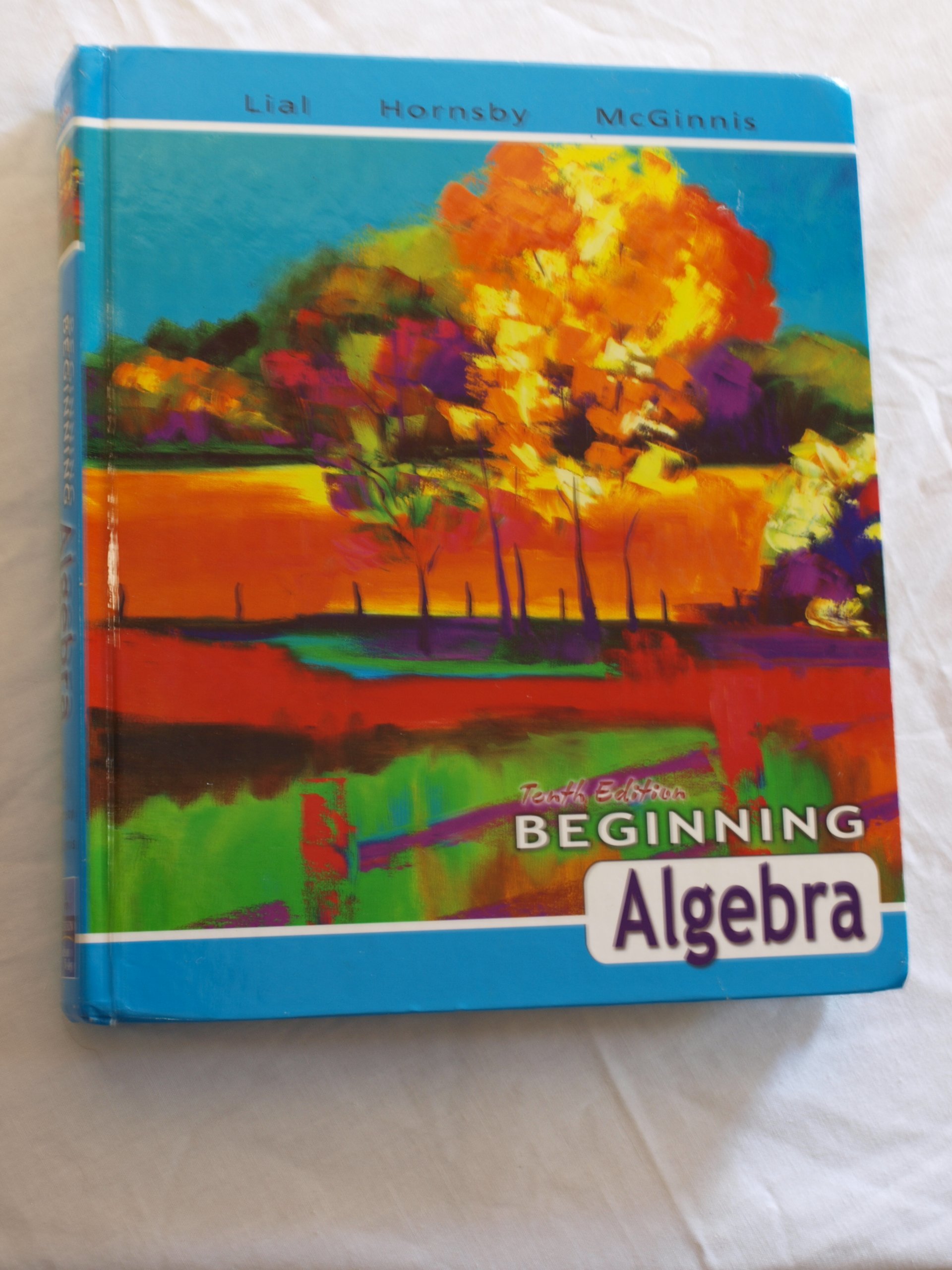 Beginning Algebra: Lial, Margaret L., Hornsby, John, McGinnis, Terry ...