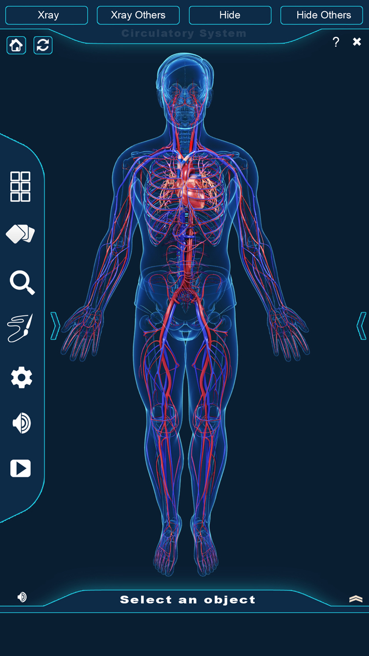 Circulatory System Anatomy - App on Amazon Appstore