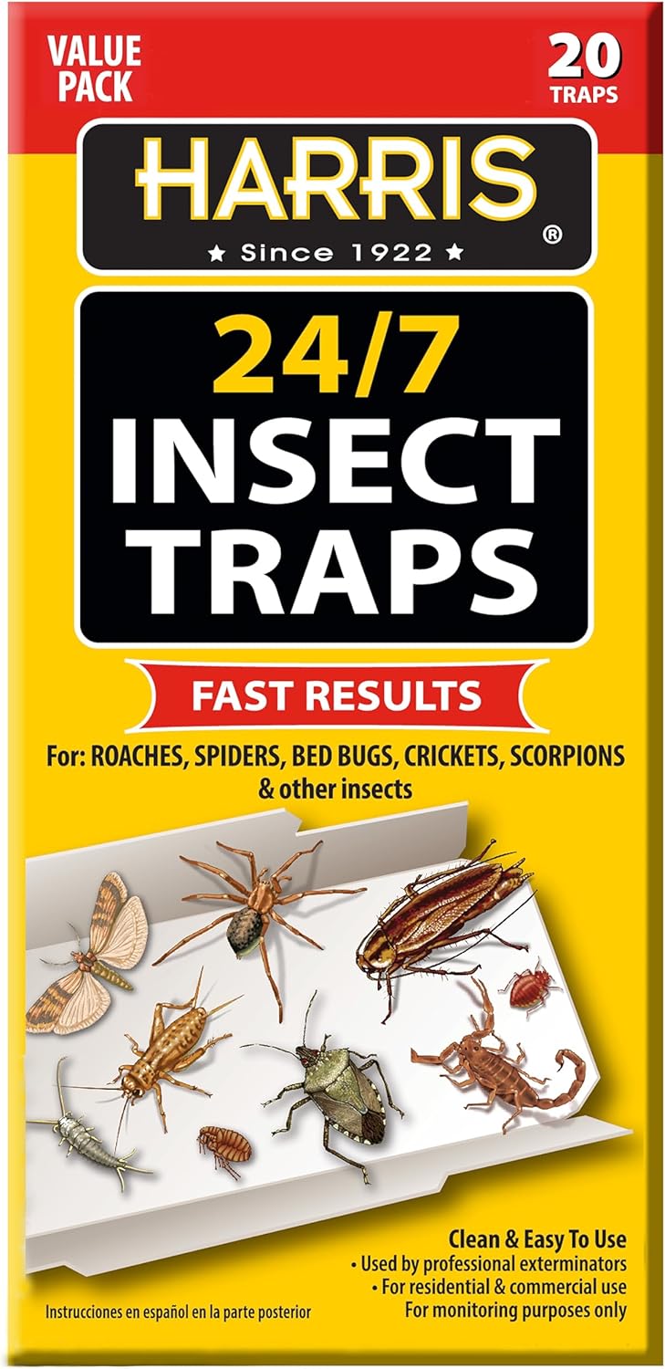Amazon.com : Harris 24/7 Insect Trap for Roaches, Spiders, Bed Bugs ...