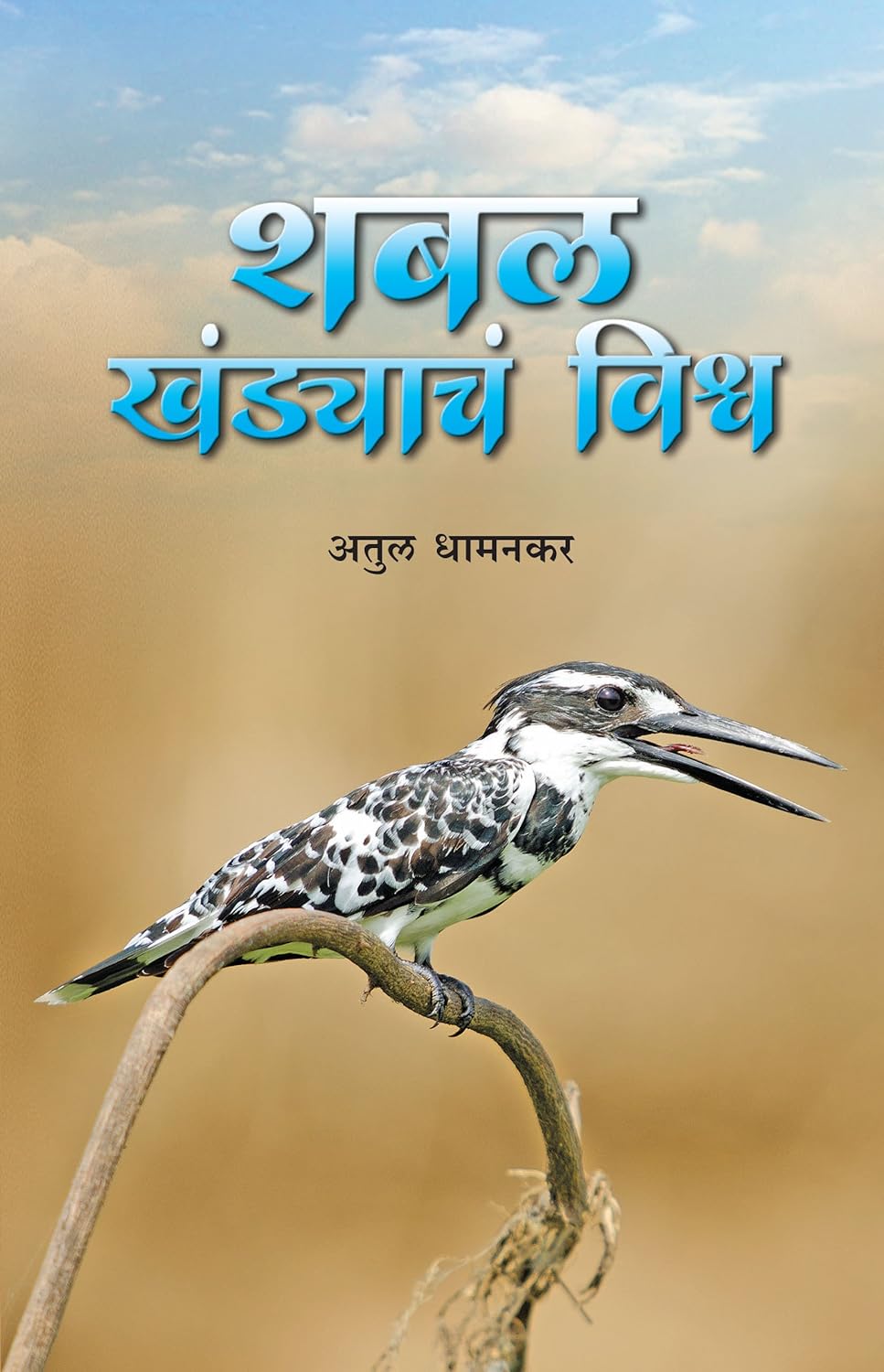 Amazon.in: Buy World of Shabal Stall Book Online at Low Prices in India ...