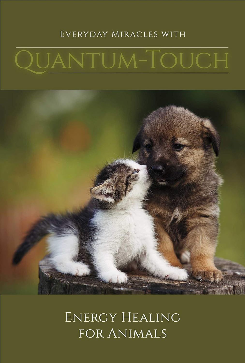Everyday Miracles With Quantum-Touch: Energy Healing for Animals ...