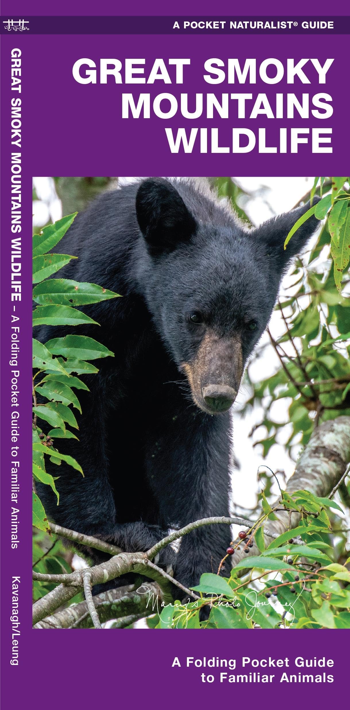 Great Smoky Mountains Wildlife: A Folding Pocket Guide to Familiar ...