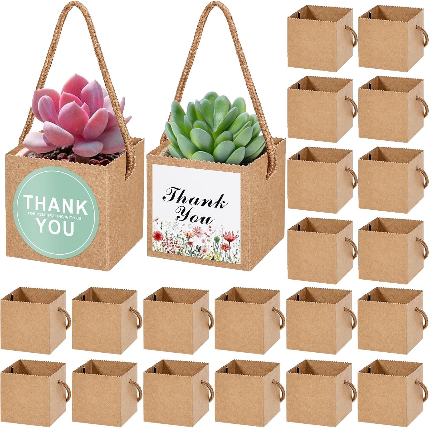 Amazon.com: KesaPlan 50 PCS Succulent Wrap Bags with 100 PCS Thank You ...