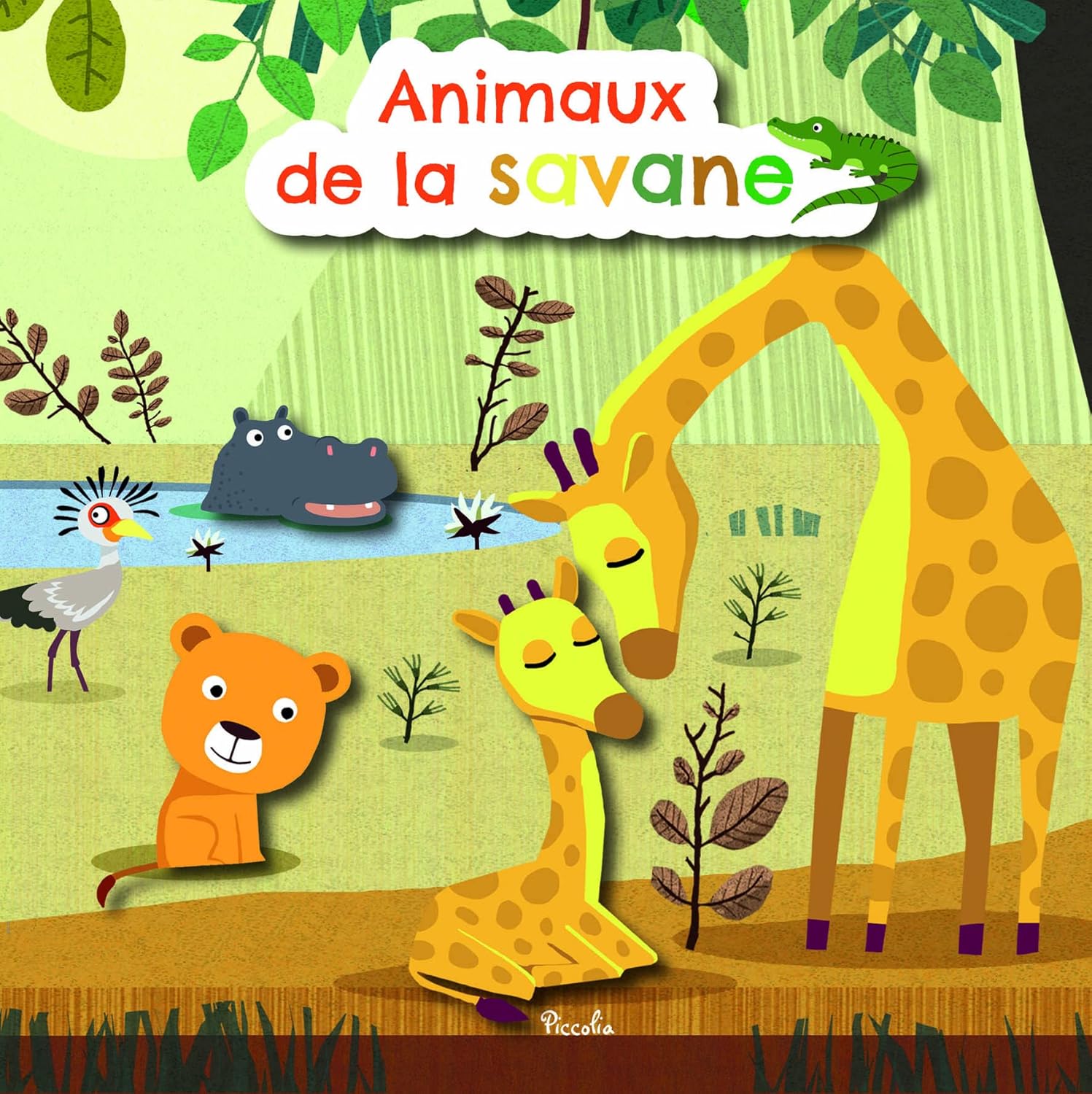 Amazon.com: Animaux de la savane: 9782753073722: Colas Des Francs ...