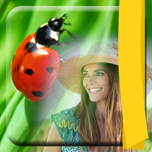 Ladybug Photo Frames - App on Amazon Appstore