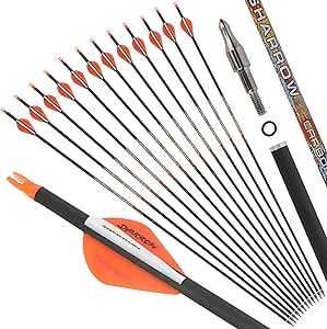 Amazon.com : ZSHJGJR 31" Archery Pure Carbon Arrows Practice Hunting ...
