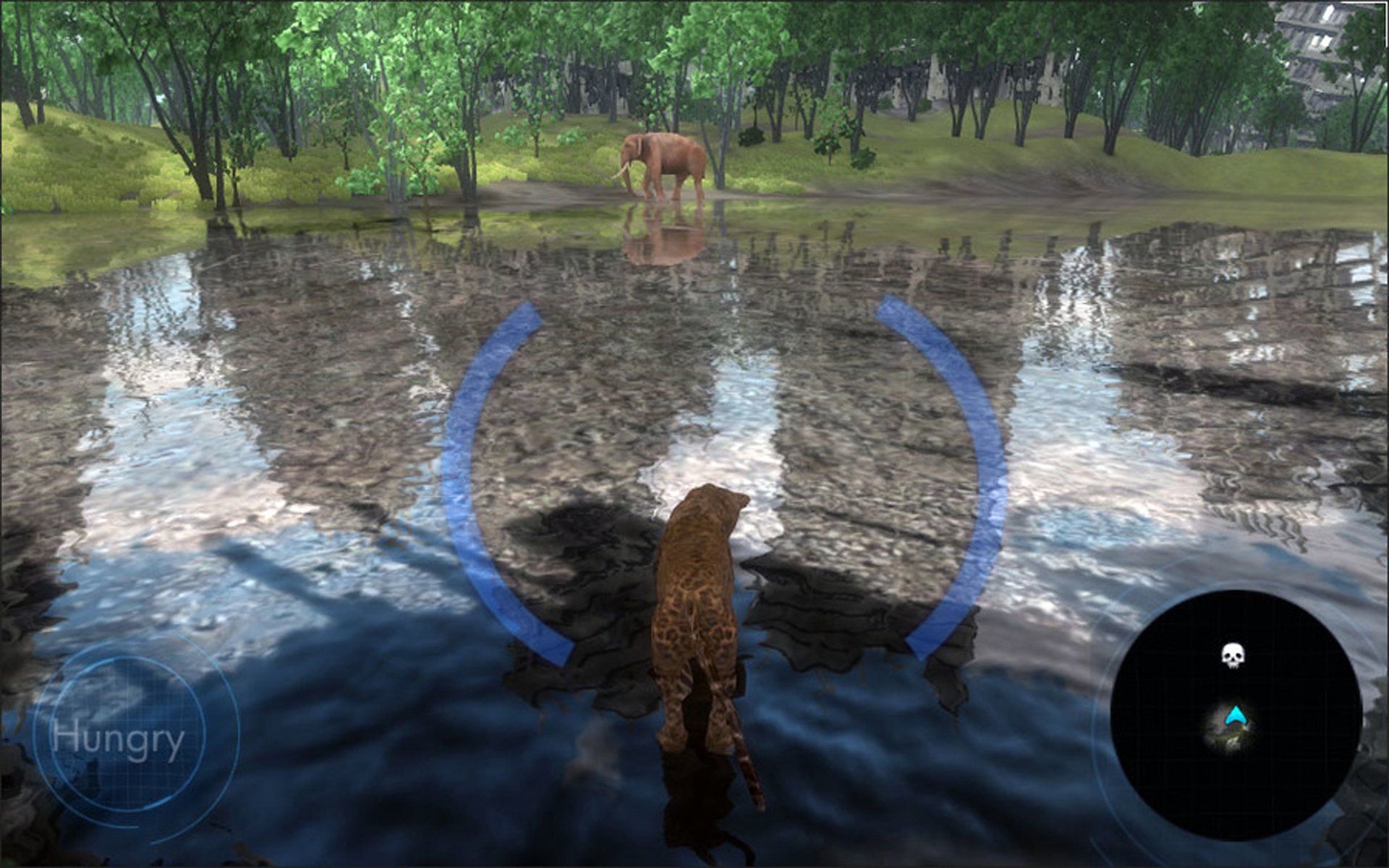 Wild Leopard Simulator - App on the Amazon Appstore