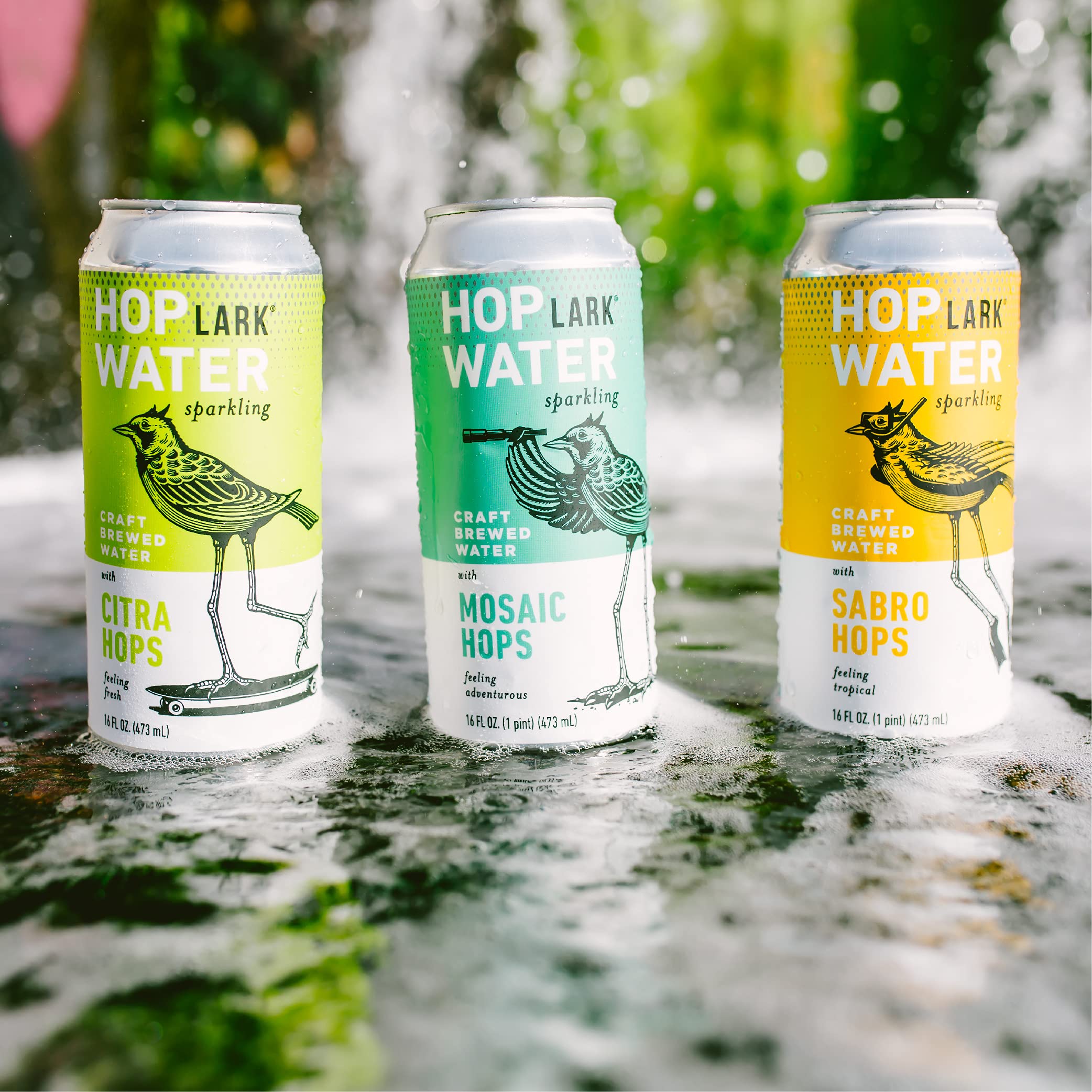 HOPLARK Water - Citra - Sparkling Hop Water - Organic, Gluten Free ...