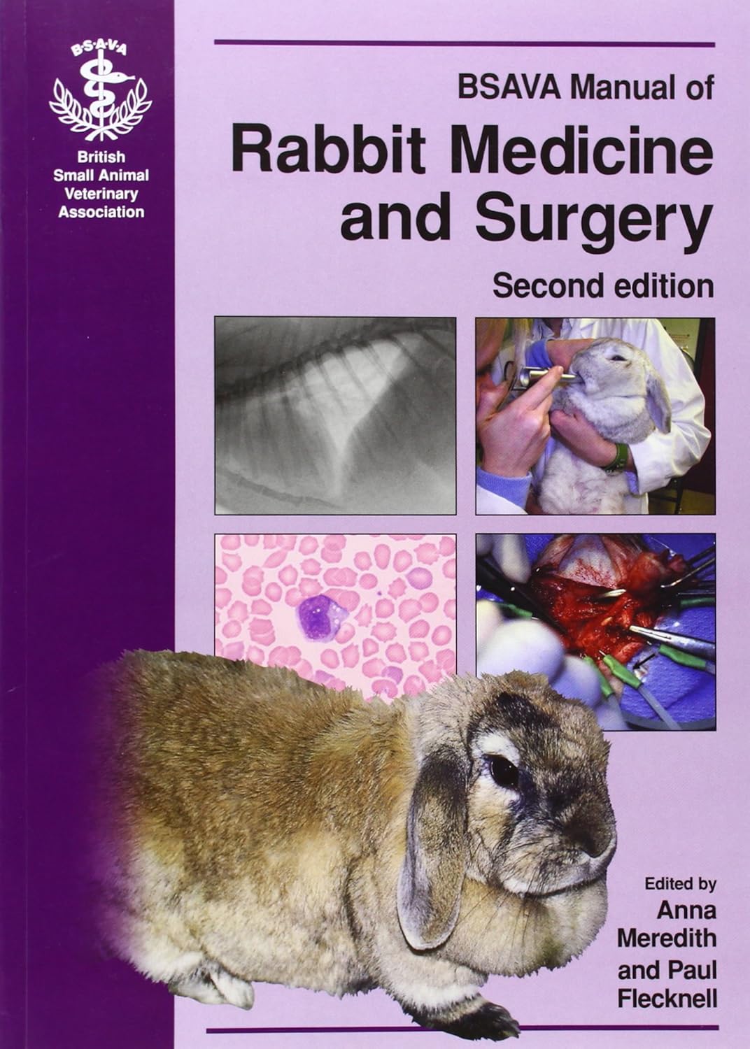 BSAVA Manual of Rabbit Medicine and Surgery: 9780905214962: Medicine ...