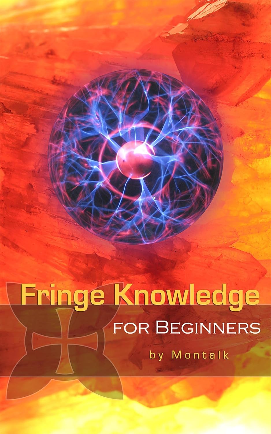 Fringe Knowledge for Beginners - Kindle edition by Montalk, Tom ...