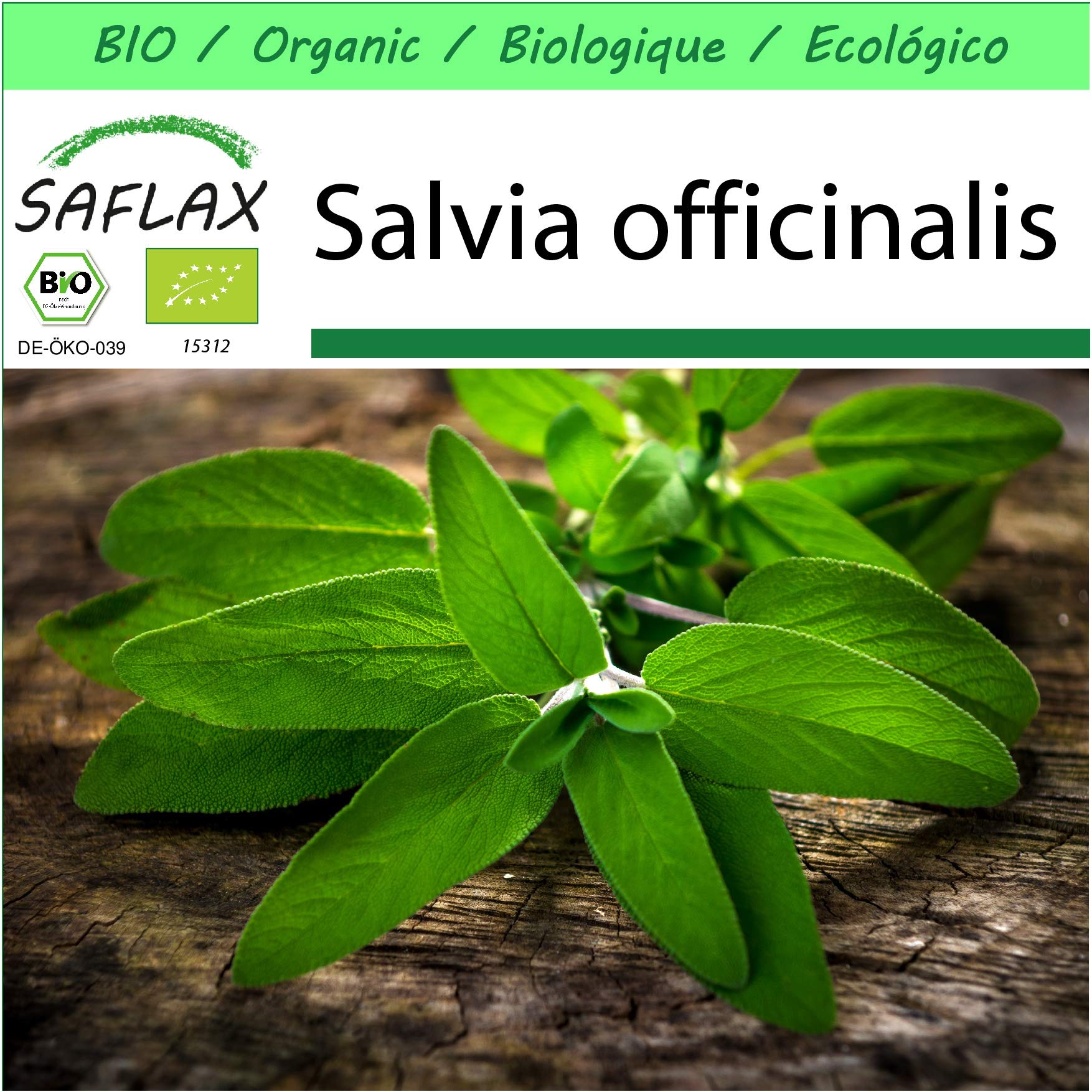 Buy SAFLAX - Garden to Go - - Sage - 60 - with Clay Pot, Glazed Tray ...