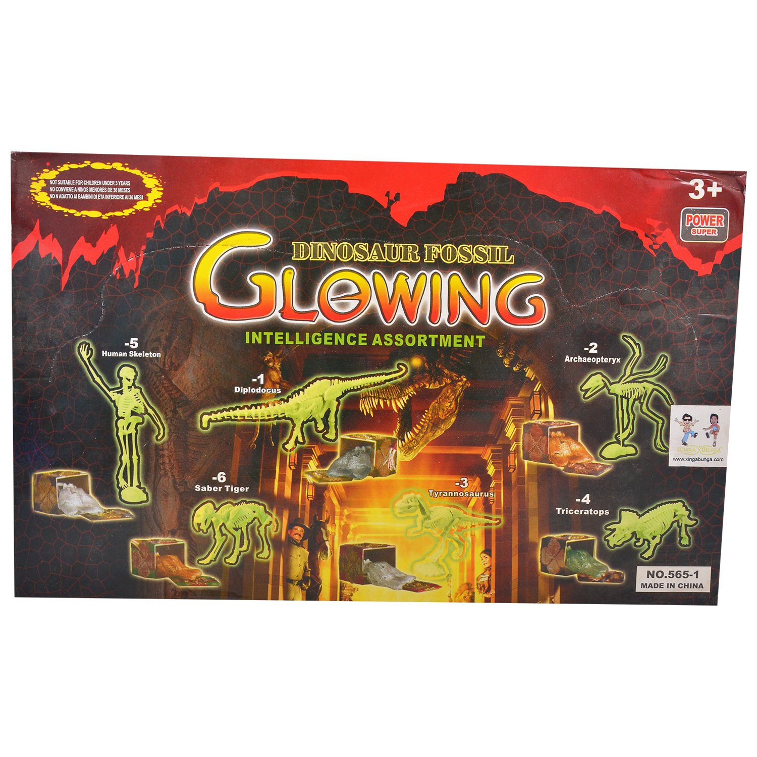 Xinga Bunga Dino Fossil Treasure Box : Amazon.in: Toys & Games