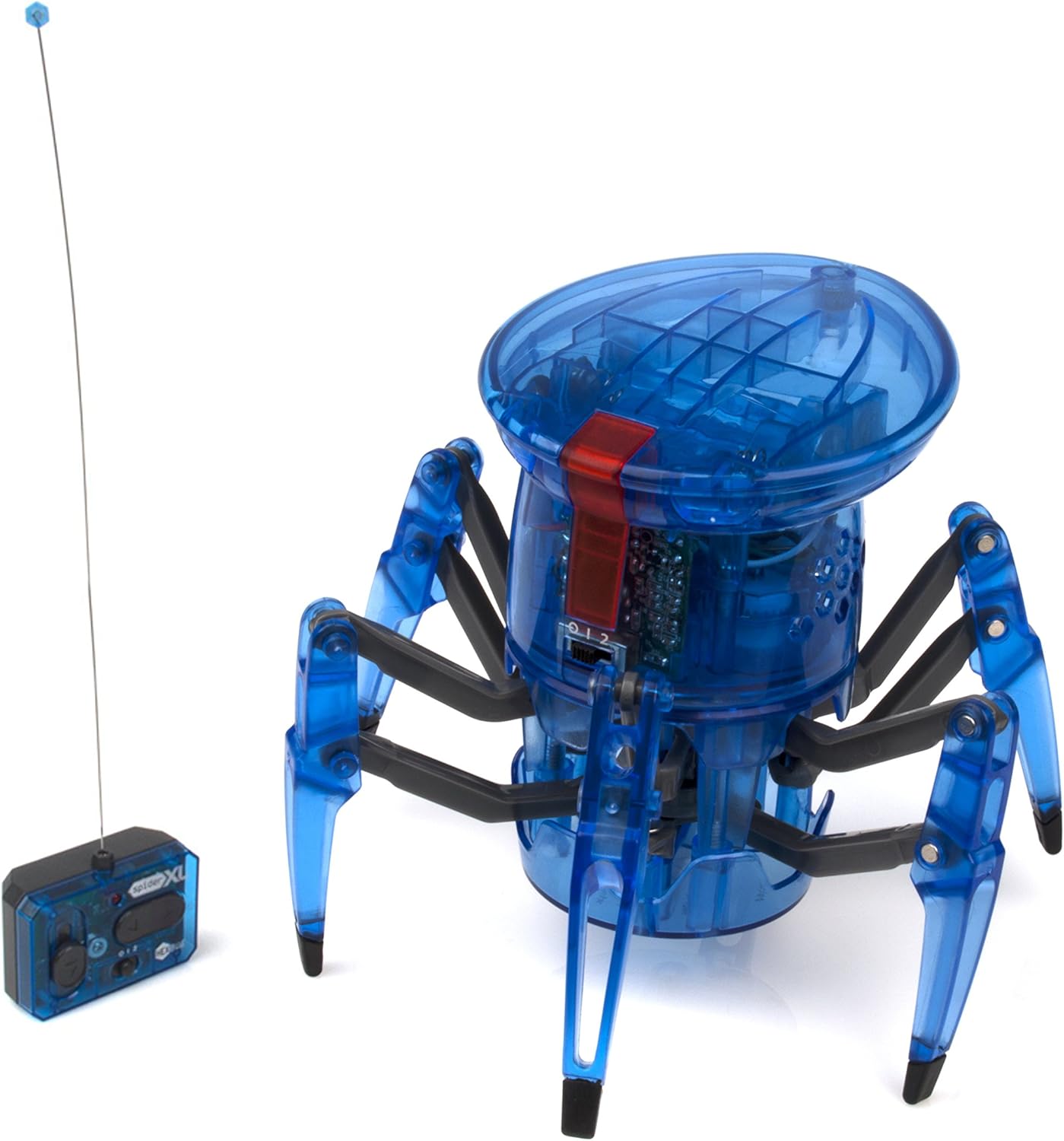 Amazon.com: HEXBUG Spider XL - Assorted Colors : Toys & Games
