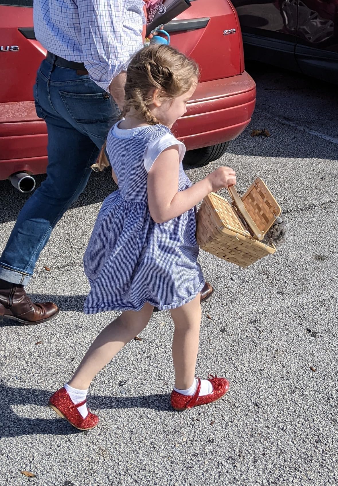 Amazon.com: Rubie's Wizard of Oz Dorothy's Toto In A Basket Costume ...