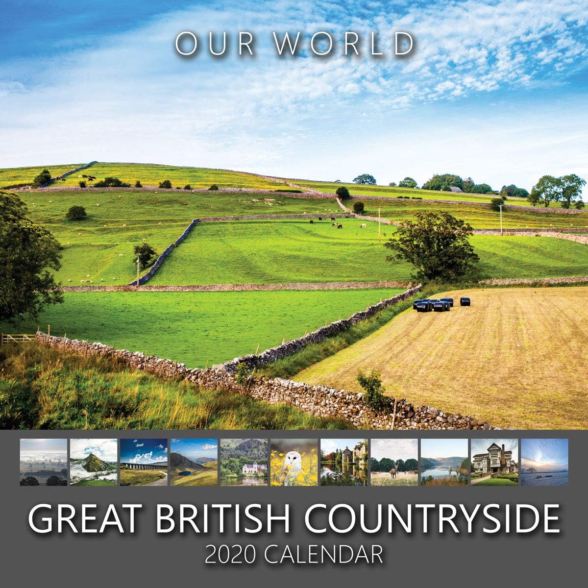 Our World: Great British Countryside Wall Calendar : Amazon.co.uk ...