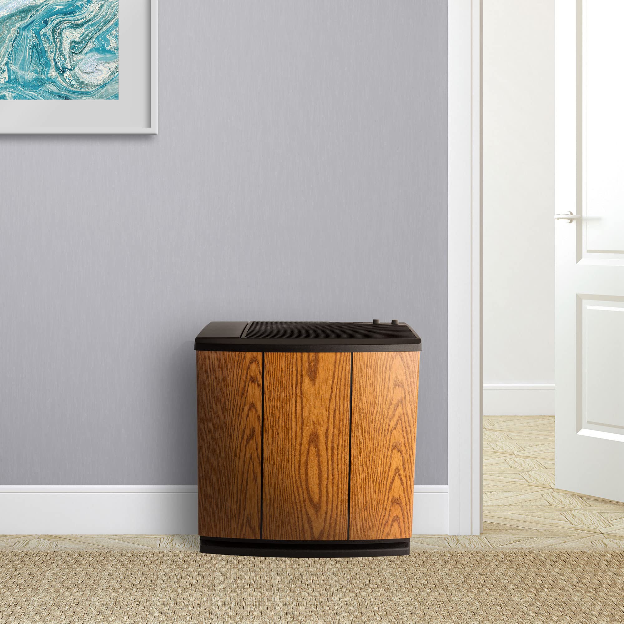 Snapklik.com : AIRCARE Digital Whole-House Console-Style Evaporative ...