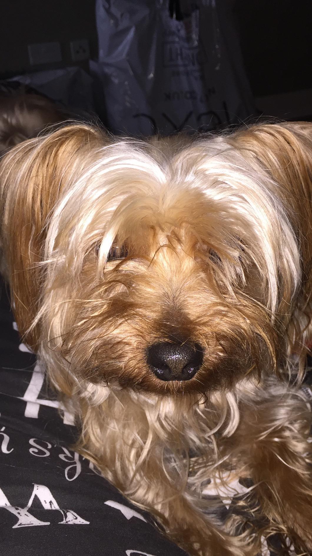 Peaky blinders s4 - 2 blu-ray : Caffrey, David: Amazon.co.uk ...