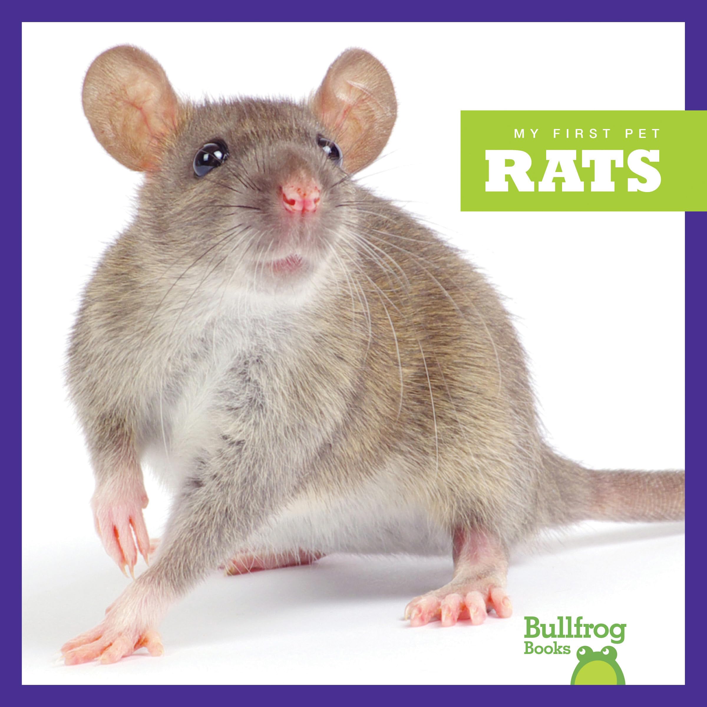 Amazon.com: Rats (Bullfrog Books: My First Pet): 9781620315545: Vanessa ...