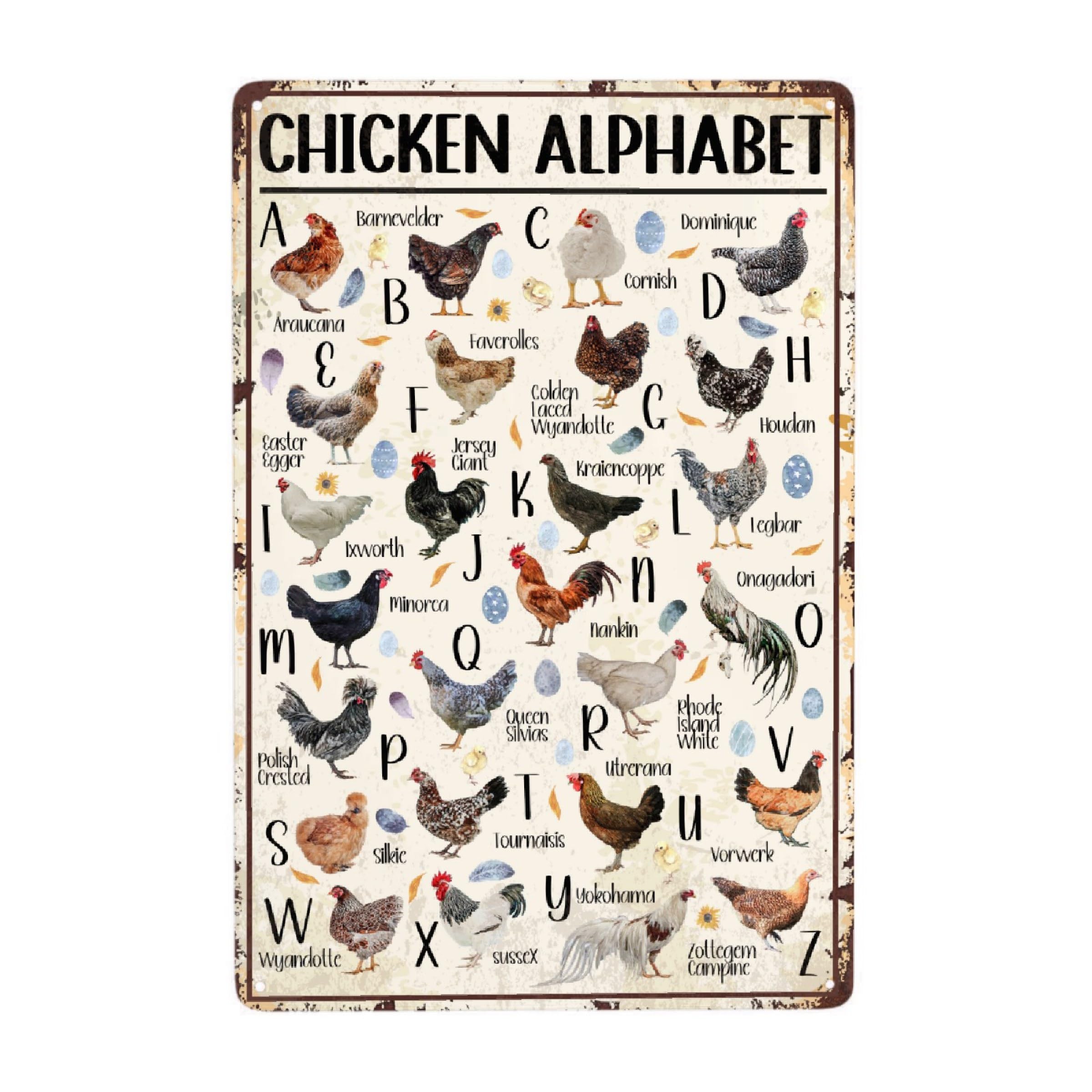 Amazon.com: JOCASA Chicken Alphabet Vintage Metal Poster Farm Sign ...