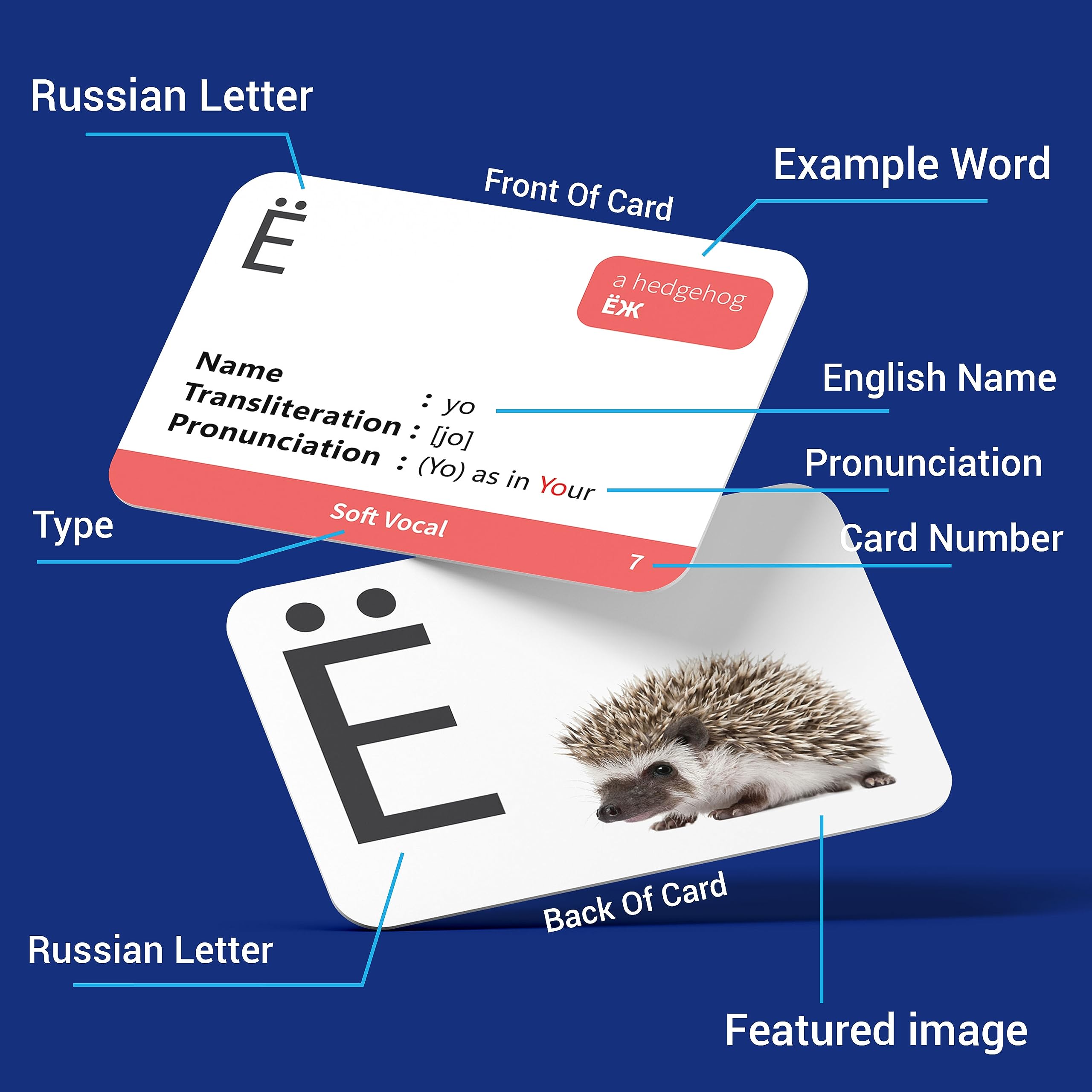 Snapklik.com : Russian Alphabet & Vocabulary Combo Pack 333 Flash Cards ...