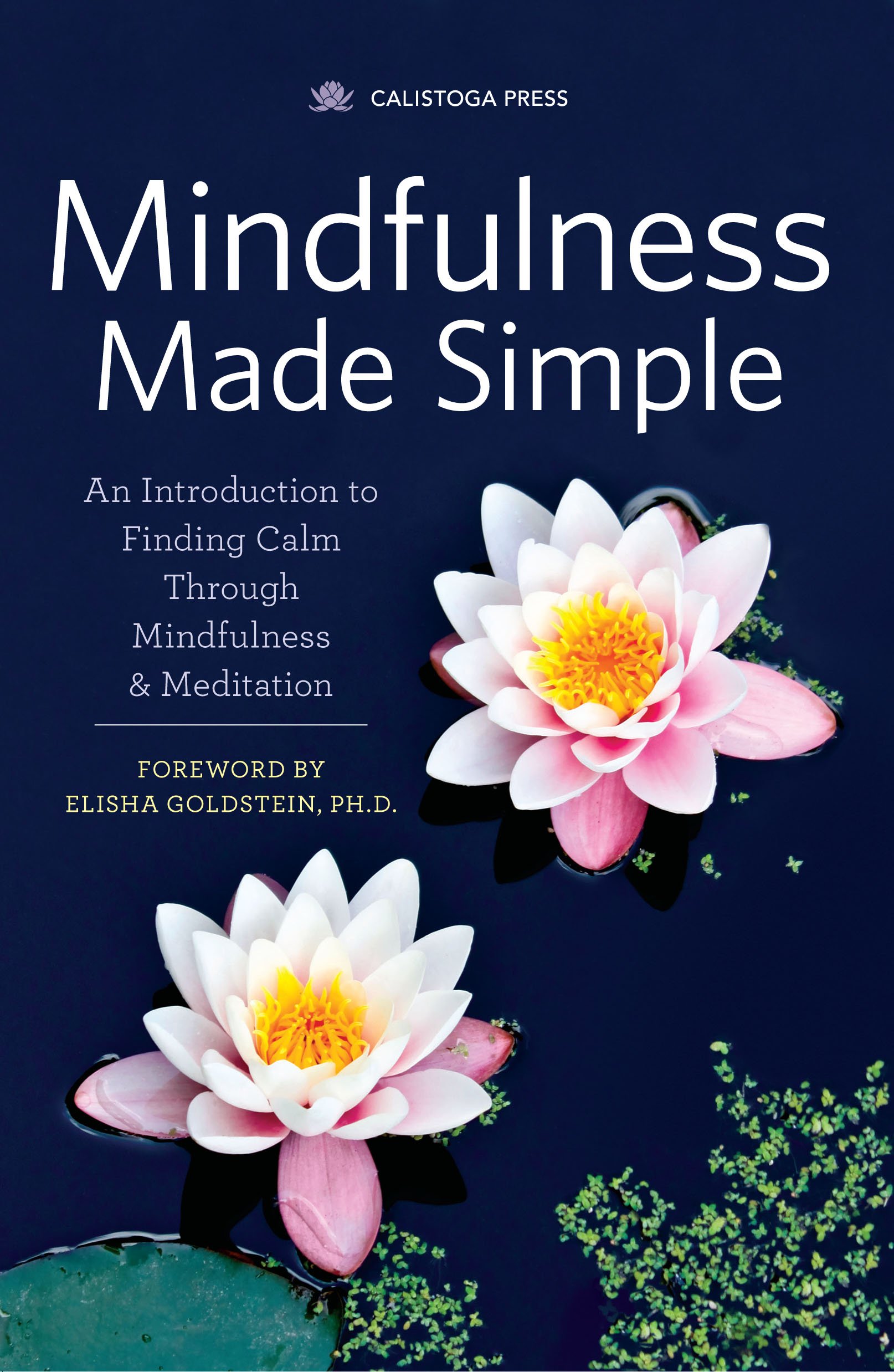 Mindfulness Made Simple: An Introduction to Finding Calm Through ...