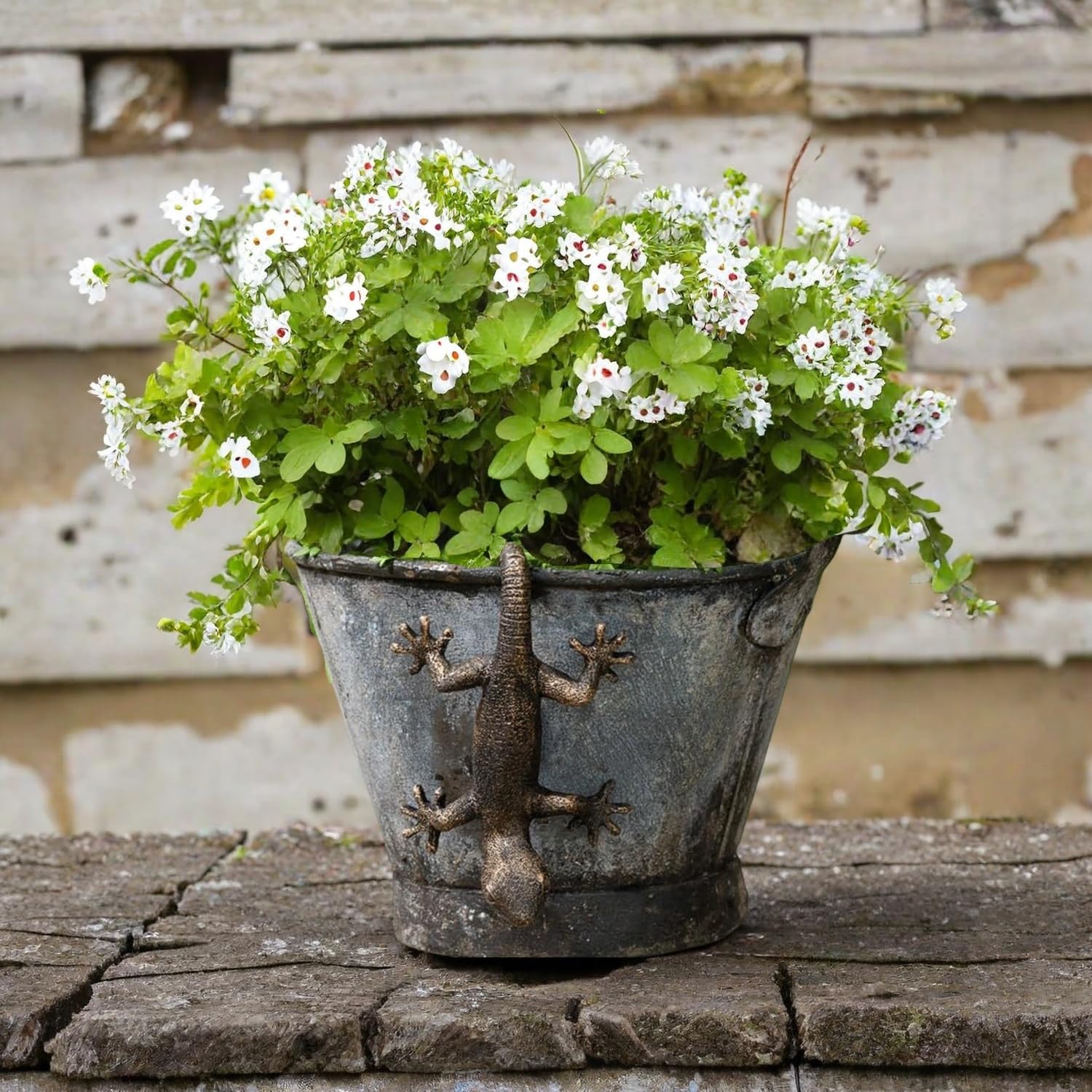 Snapklik.com : Tidsech Whimsical Gecko Plant Decorations For Pots