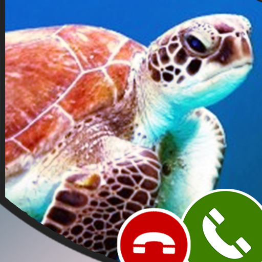 Fake call from Turtle-Free Prank - App on Amazon Appstore