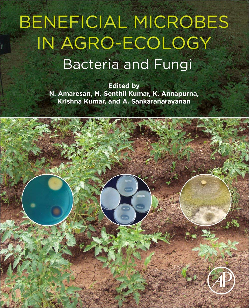 Amazon.com: Beneficial Microbes in Agro-Ecology: Bacteria and Fungi ...
