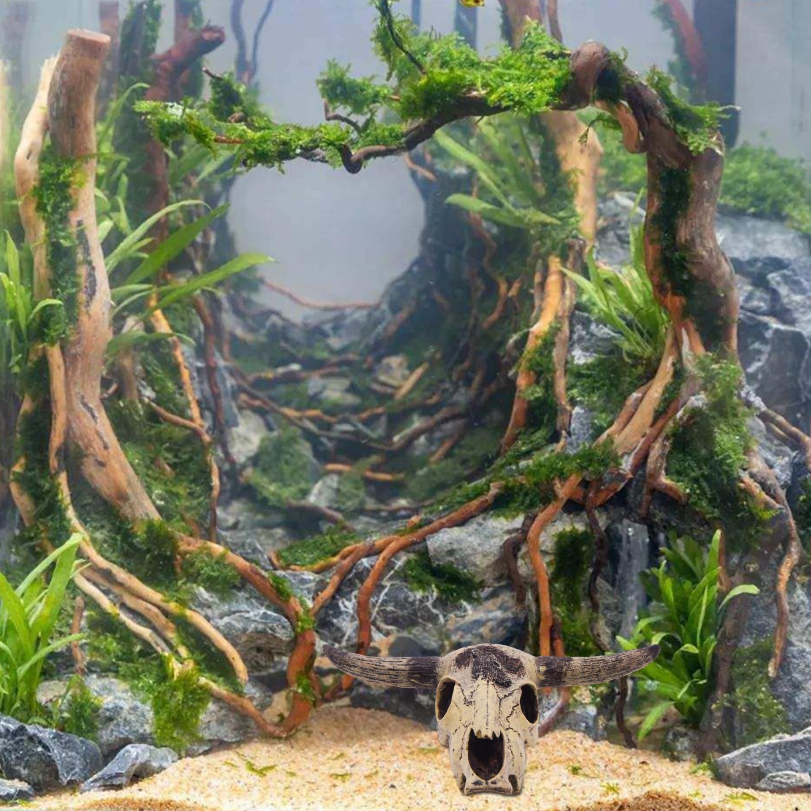 Snapklik.com : Cattle Skull Aquarium Decoration, Skull Fish Tank ...