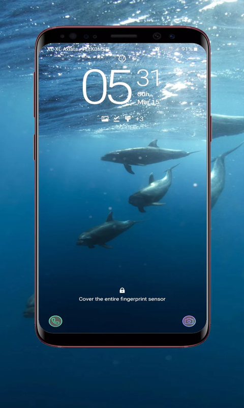 Animal Dolphin Wallpaper 4k:Amazon.co.jp:Appstore for Android