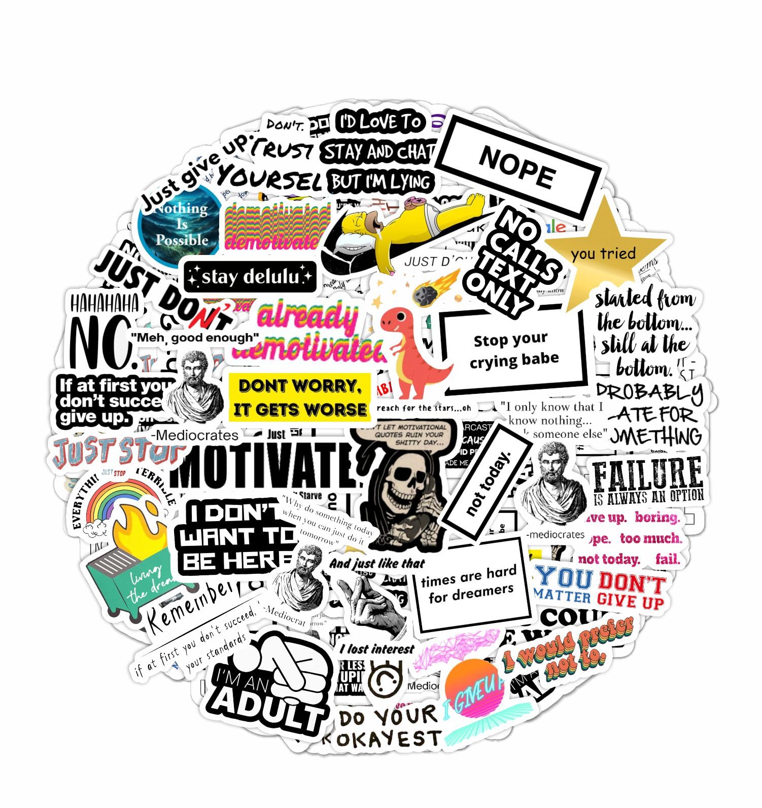 Amazon.com: 100Pcs Snarky Stickers, Sarcastic Stickers - Demotivational ...