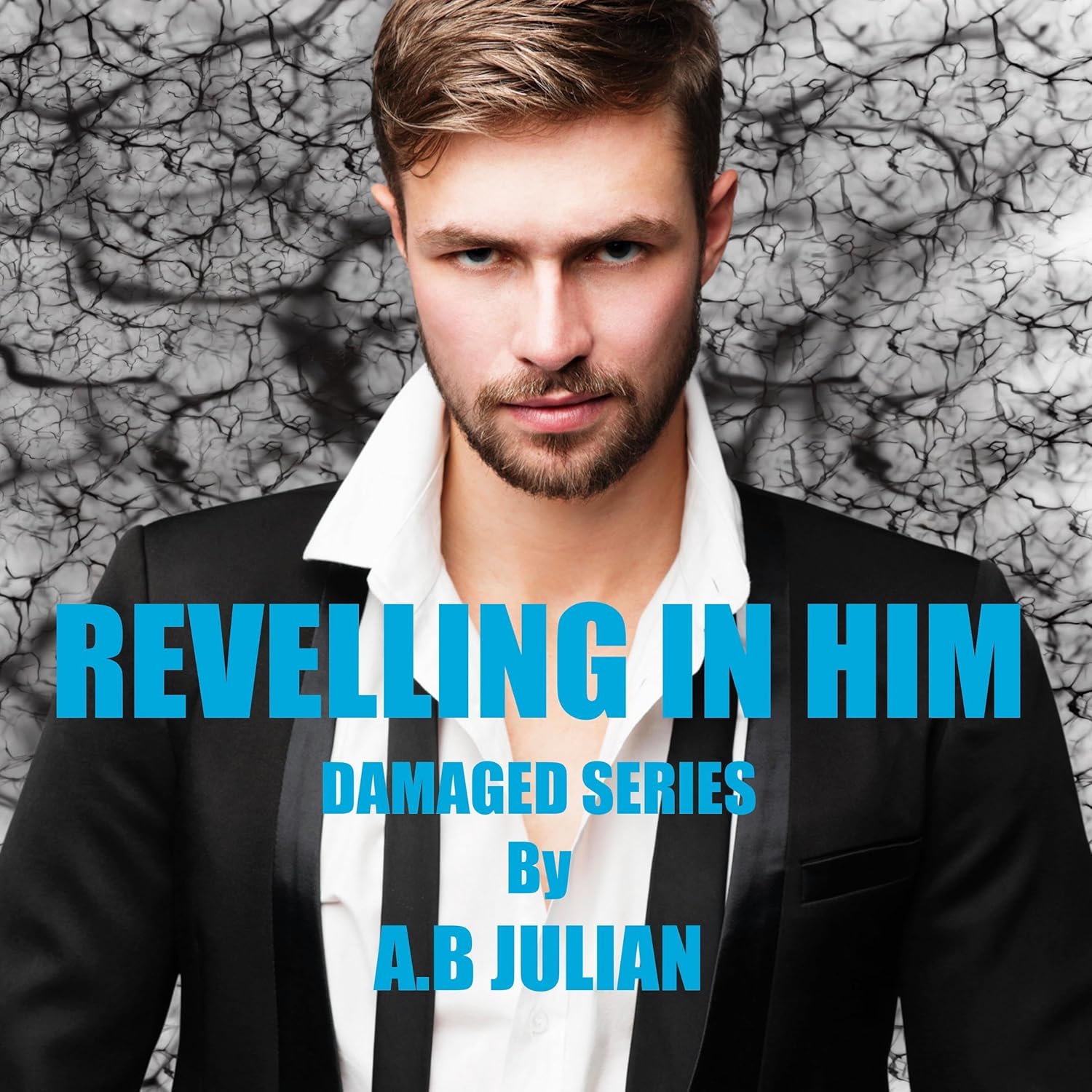 Amazon.com: Revelling in Him: Damaged Series (Audible Audio Edition): A ...