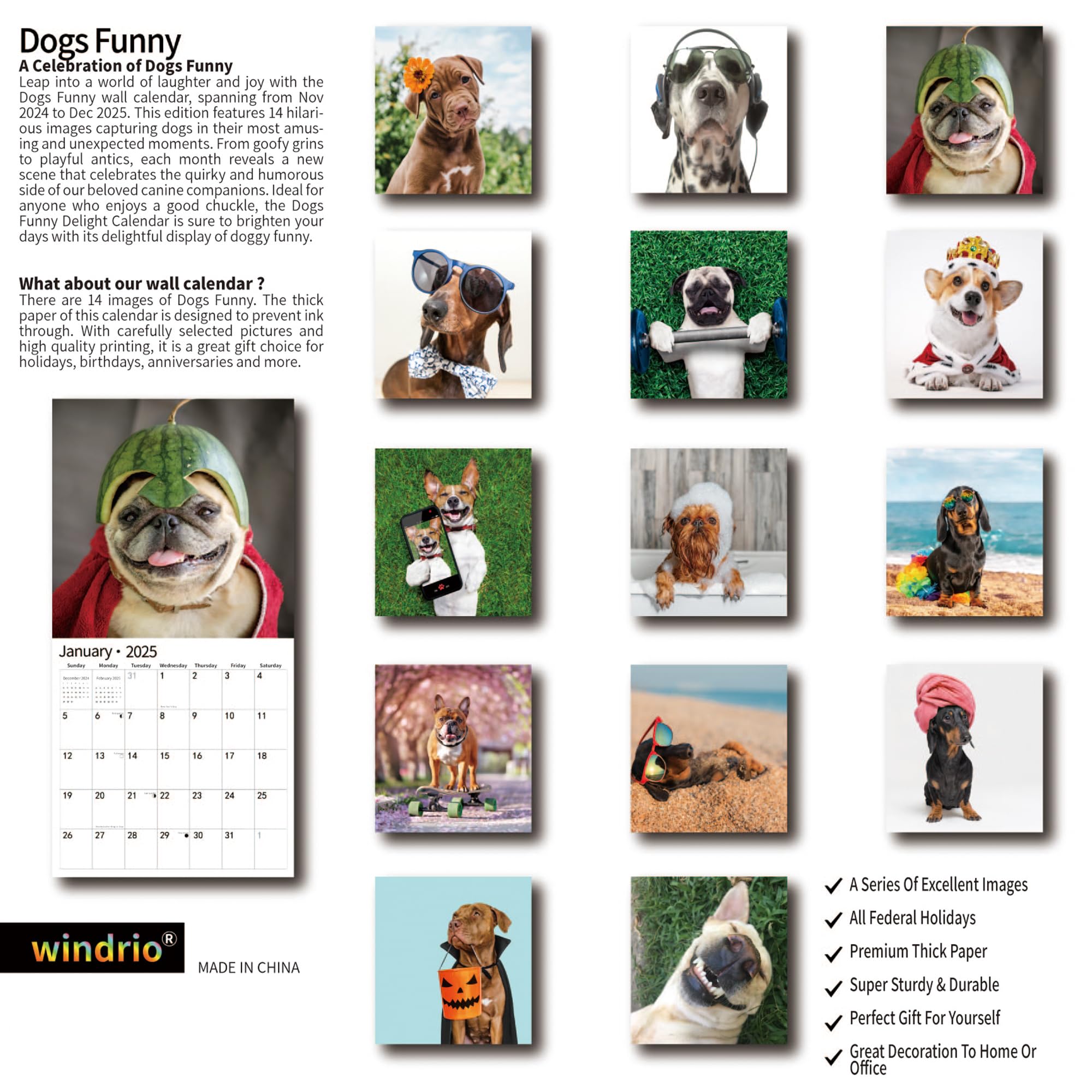 Snapklik.com : 2025 Wall Calendar,Funny Calendar 2025, January 2025 ...