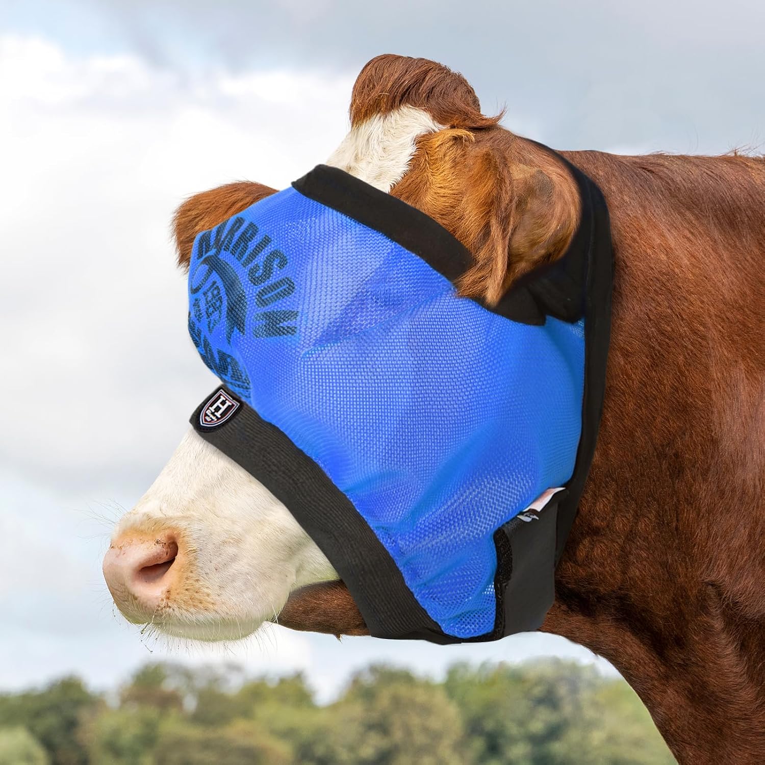 Amazon.com: Harrison Howard Cattle Livestock Fly Mask Breathable Mesh ...