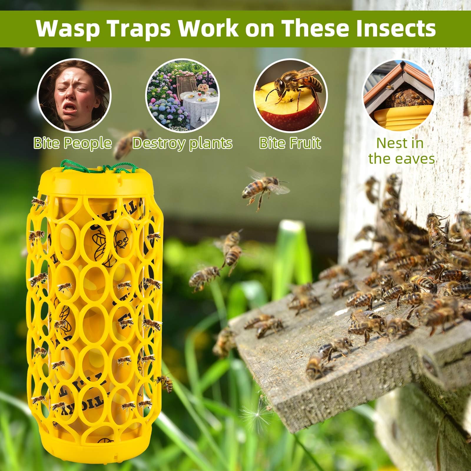 Sticky Fly Traps Outdoor Hanging,Fruit Fly Traps for Indoors,Wasp Trap ...