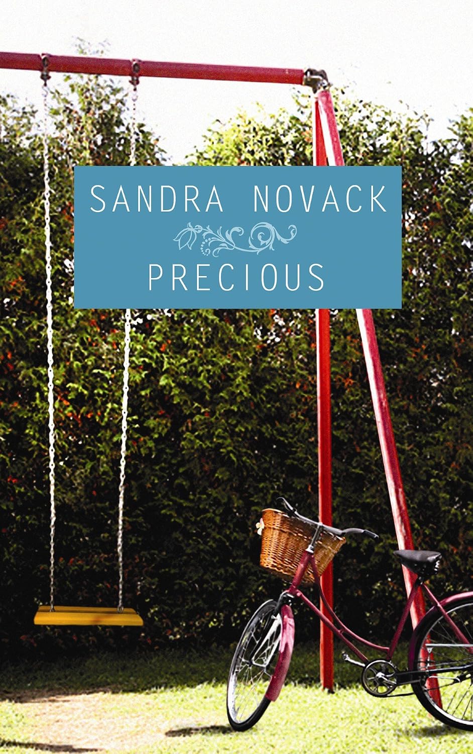 Precious: Sandra Novack: 9781602856165: Amazon.com: Books