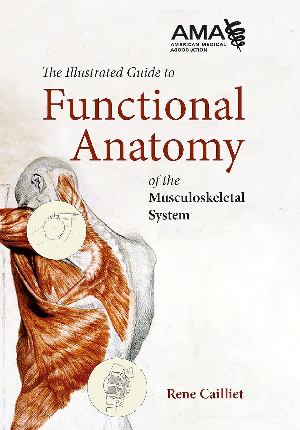 Buy The Illustrated Guide to Functional Anatomy of the Musculoskeletal ...
