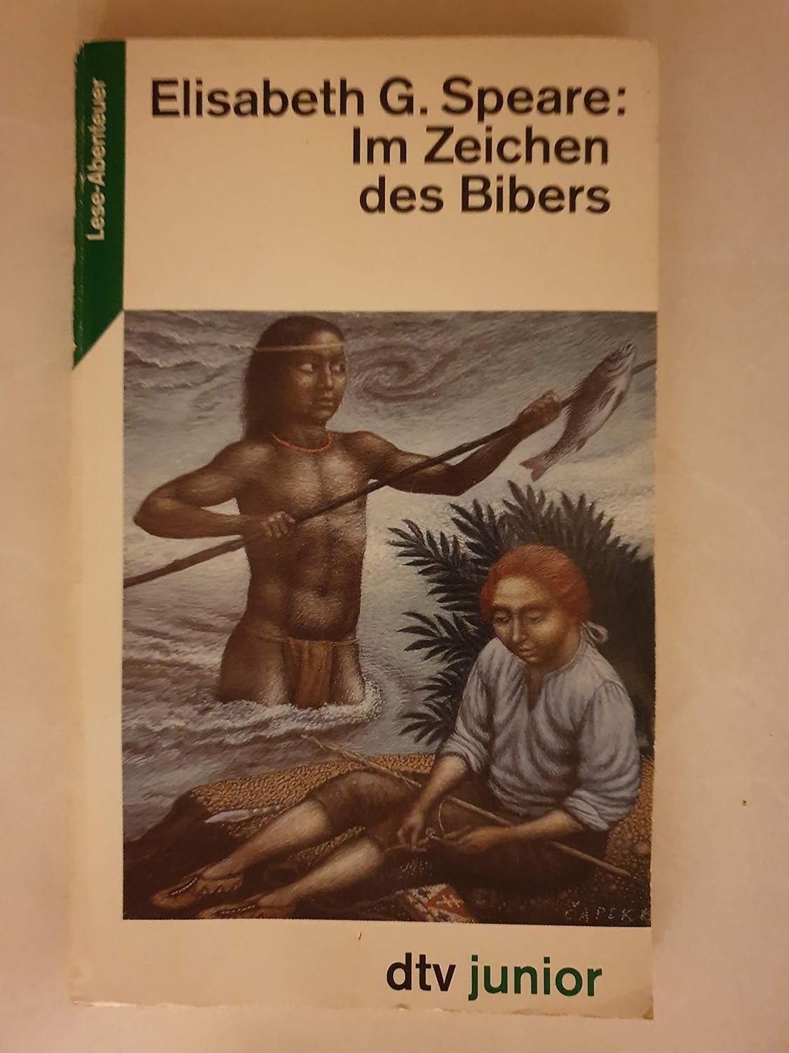 Im Zeichen Des Bibers Speare Elizabeth George Amazon De Bücher