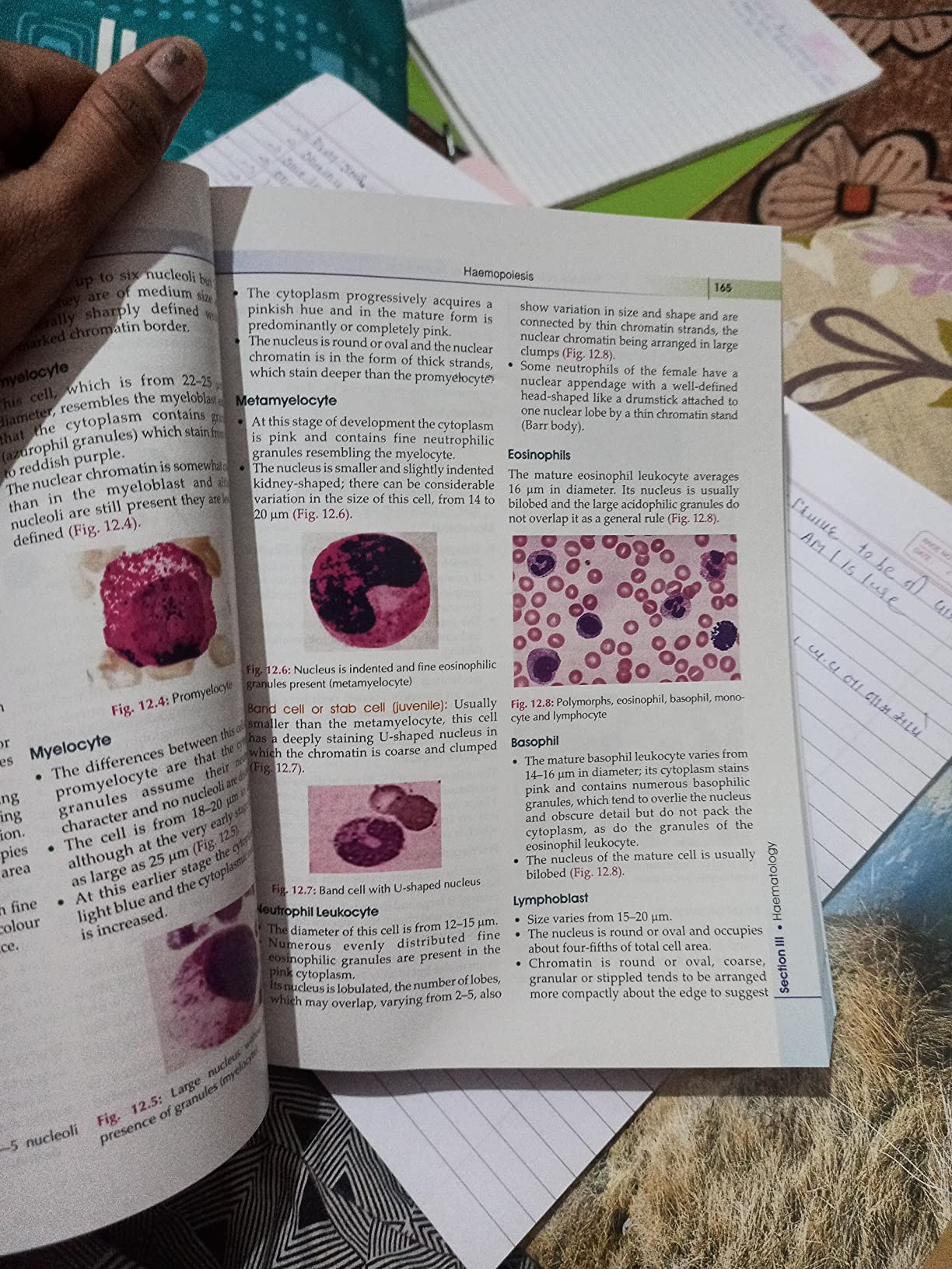 Buy Textbook Of Medical Laboratory Technology (Pb 2020) [Paperback ...