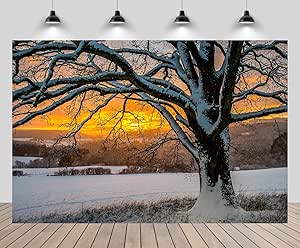 Amazon.com : CHNYWORK 6ftx4ft Winter Snow Tree Backdrop Snowy Big Tree ...