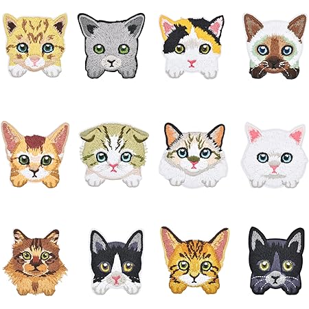 Amazon.com: 2 Pcs Cool Cat Delicate Embroidered Patches, Cute ...