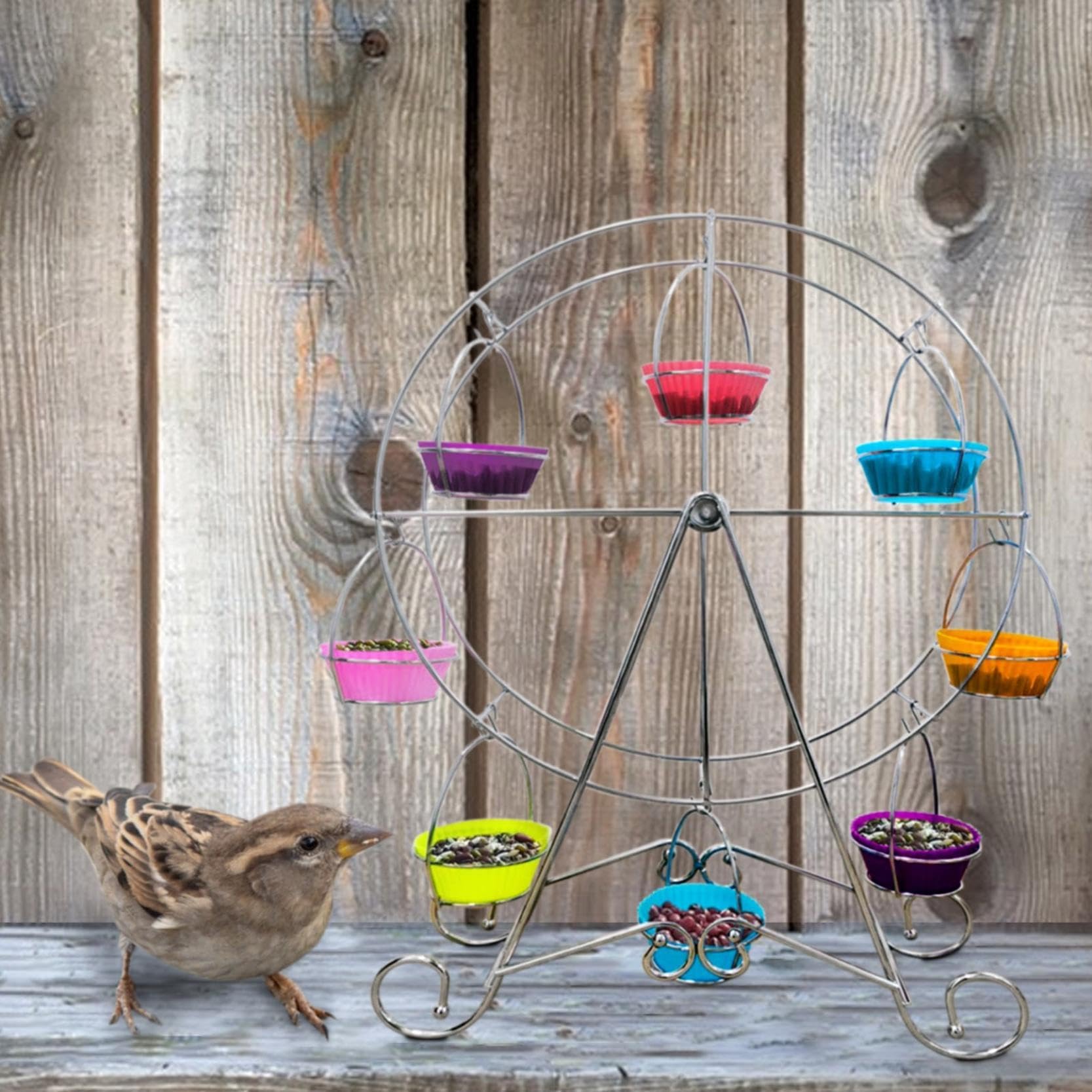 Amazon.com : Ferris Wheel Bird Feeder, Rotating Ferris Wheel Toy for ...