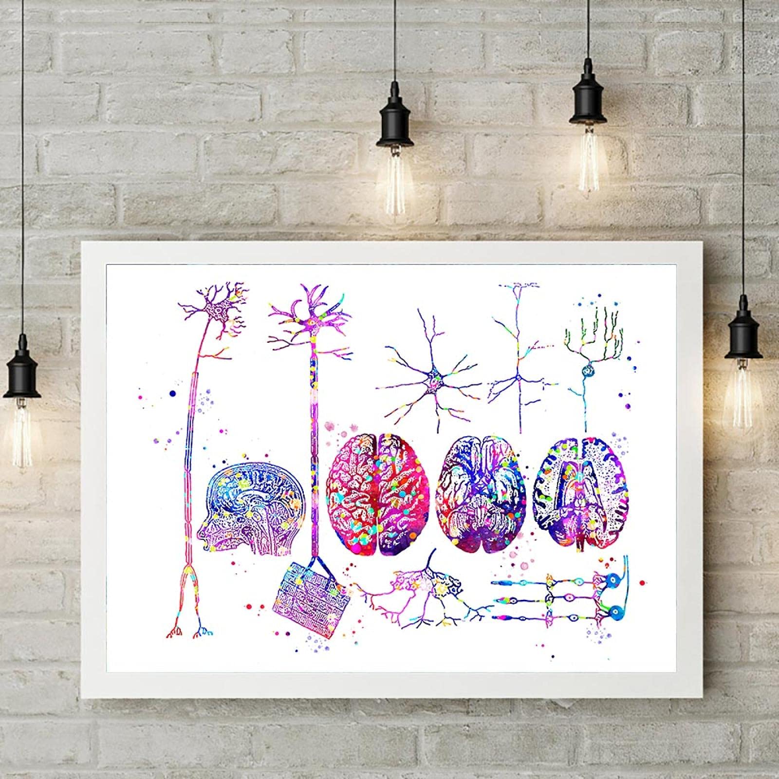 Brain Anatomy Neurons Poster Nervous System Art Paintings Neuron Types ...