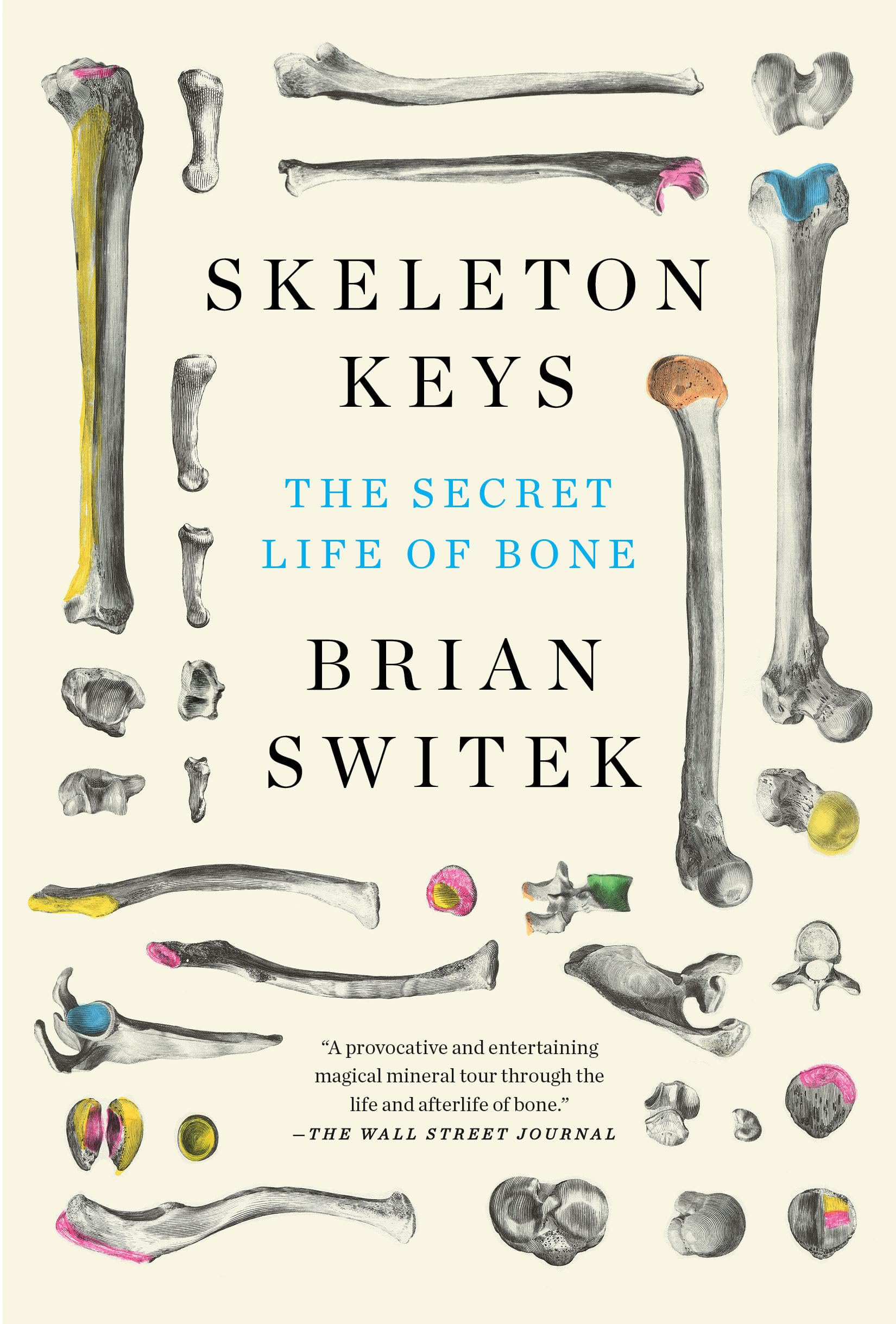 Amazon | Skeleton Keys: The Secret Life of Bone | Black (Brian Switek ...