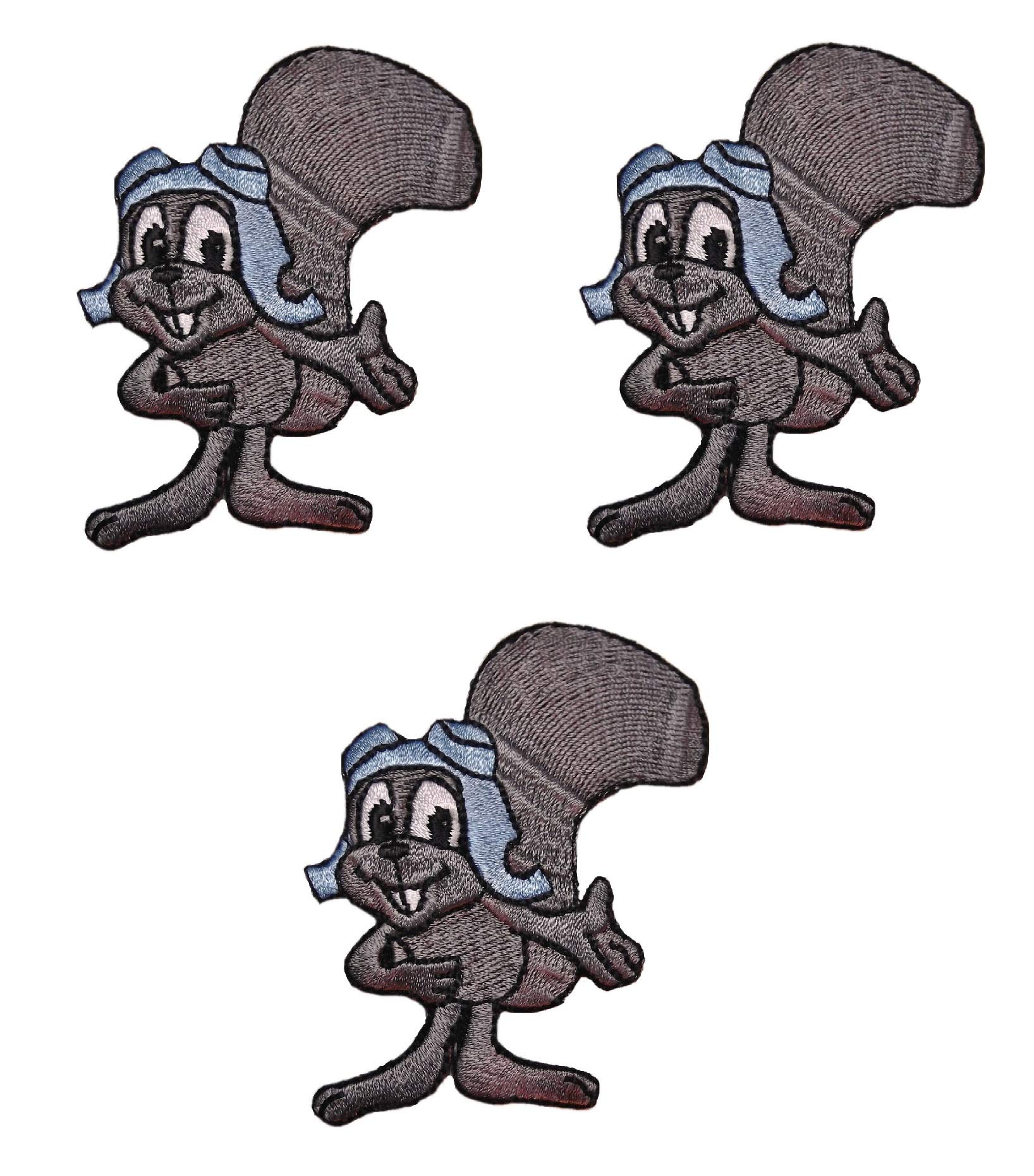 Rocky The Flying Squirrel