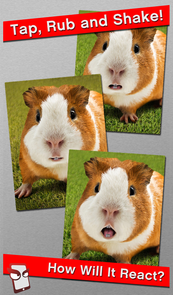 AngryGuineaPig Free - The Angry Guinea Pig Simulator:Amazon.de:Appstore ...