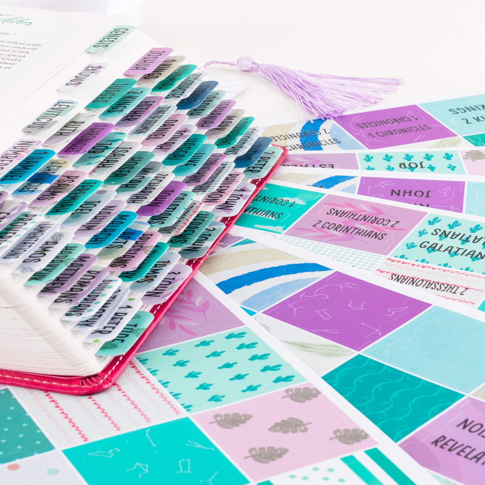 Snapklik.com : Laminated Bible Tabs For Women And Girls