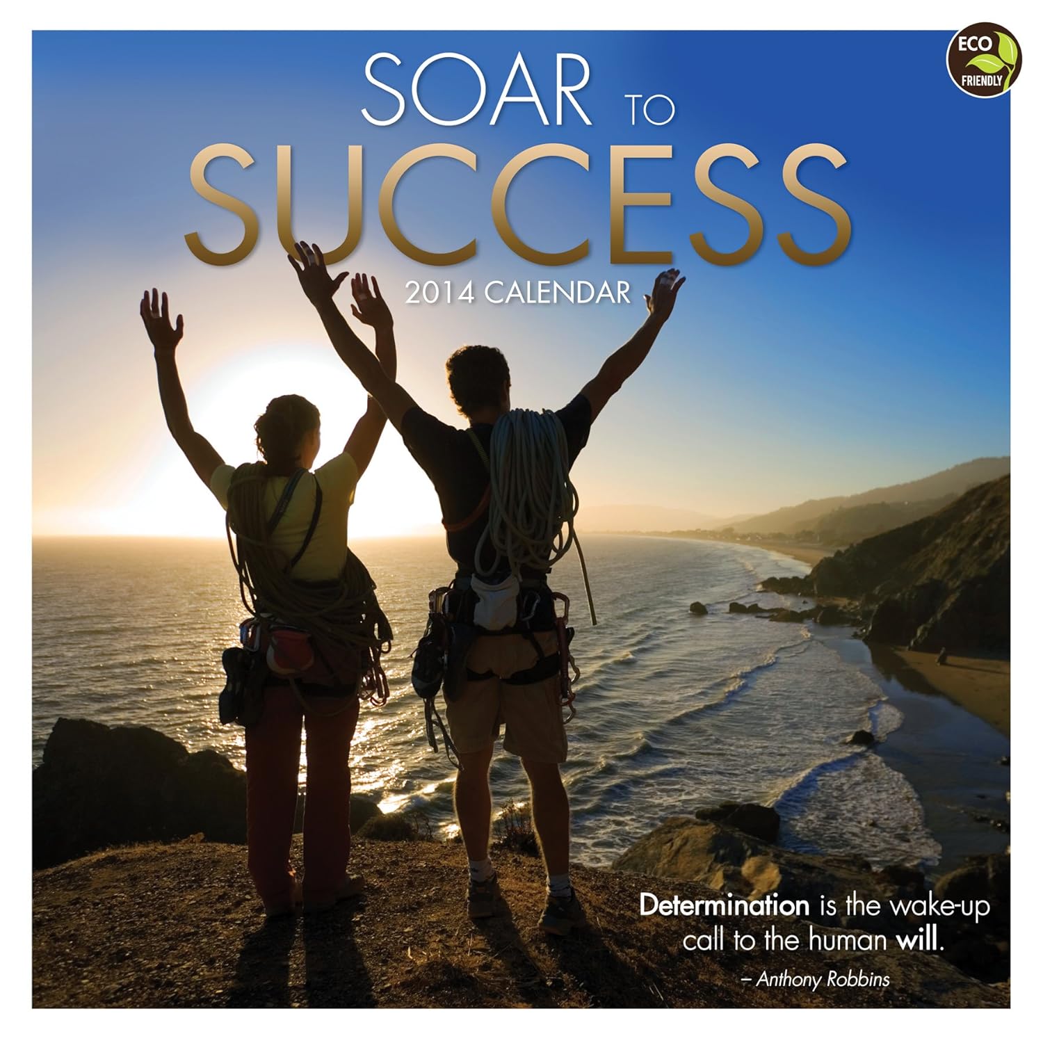 Amazon.com: 2014 Soar to Success Wall Calendar: 9781579000493: TF ...