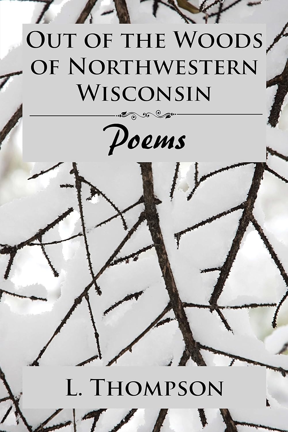 Amazon.com: Out of the Woods of Northwestern Wisconsin: Poems eBook ...